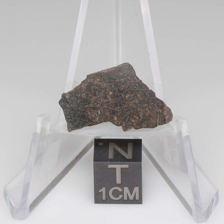NWA 11721 R3 Meteorite For Sale