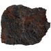 Meteorite Identification | Meteorite Exchange, Inc.