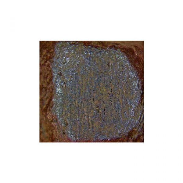 Meteorite Identification | Meteorite Exchange, Inc.