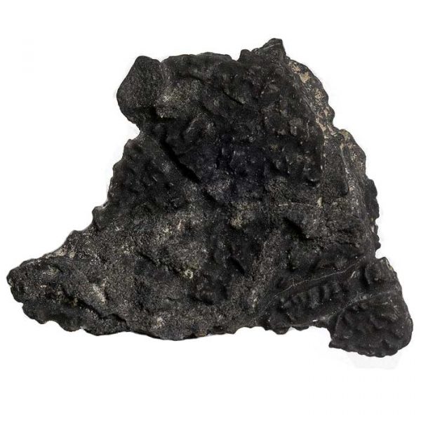 Meteorite Identification | Meteorite Exchange, Inc.