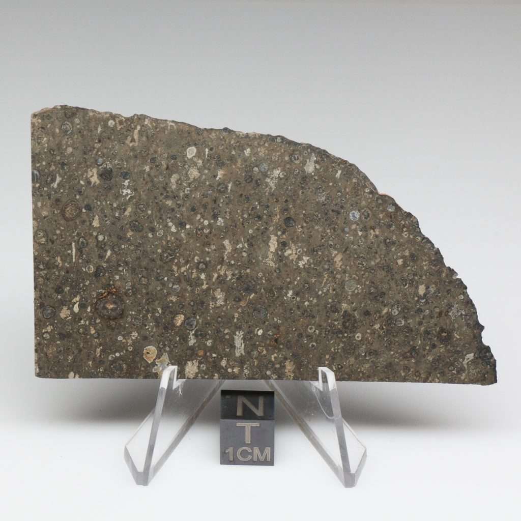 NWA 14743 CVox3 Meteorite MM-14743-12 | Meteorite Exchange, Inc.