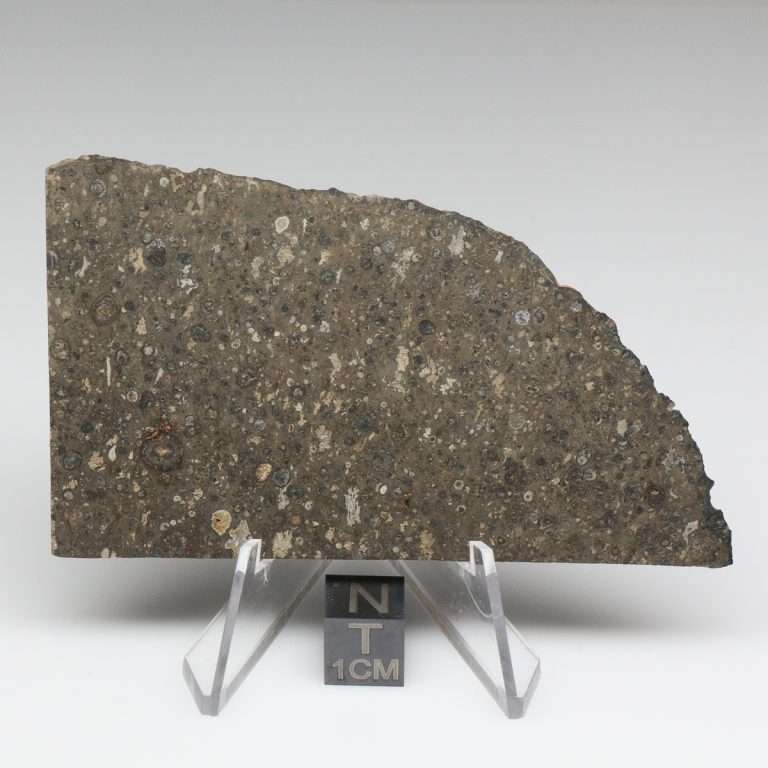 NWA 14743 CVox3 Meteorite MM-14743-12 | Meteorite Exchange, Inc.