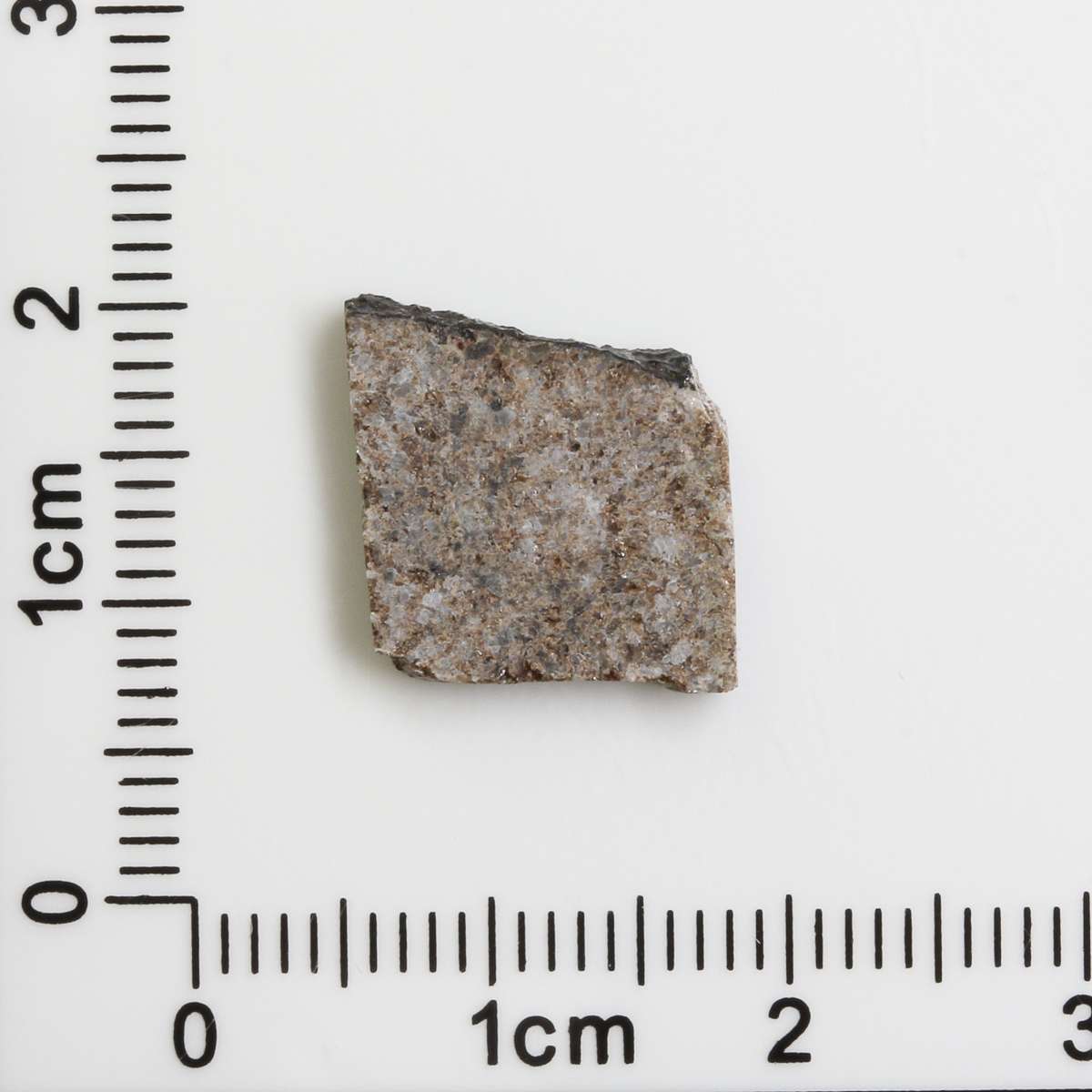 Tirhert Eucrite Meteorite TIRH-10 | Meteorite Exchange, Inc. Tirhert Eucrite Meteorite TIRH-10 | Meteorite Exchange, Inc.