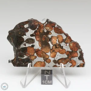 Sericho Pallasite Meteorites For Sale
