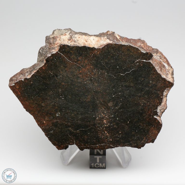 NWA 8008 L4 Meteorite | Meteorites-For-Sale.com