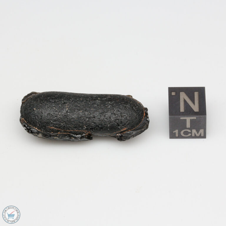 Australite Tektite | Meteorite Exchange, Inc.