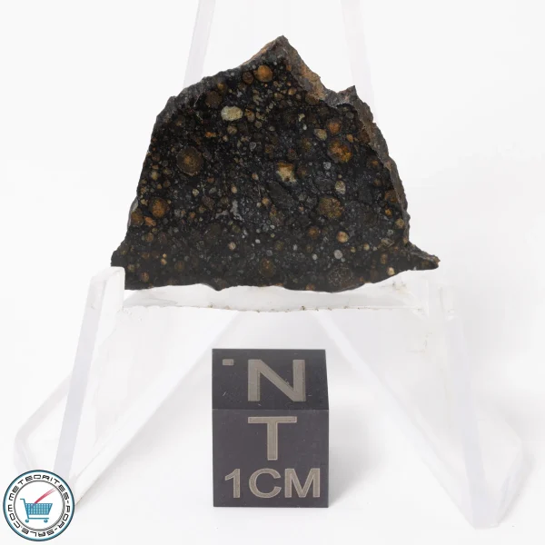 NWA 11343 CV3 Meteorite 3.0g Slice | Meteorite Exchange, Inc.