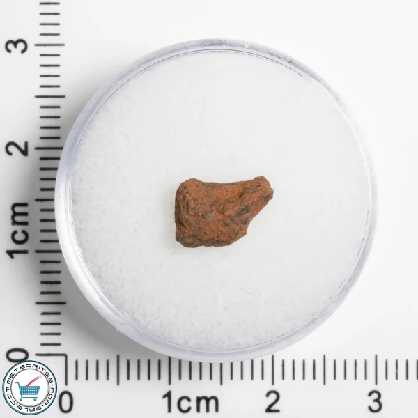 Veevers Iron Meteorite 0.62g | Meteorite Exchange, Inc.