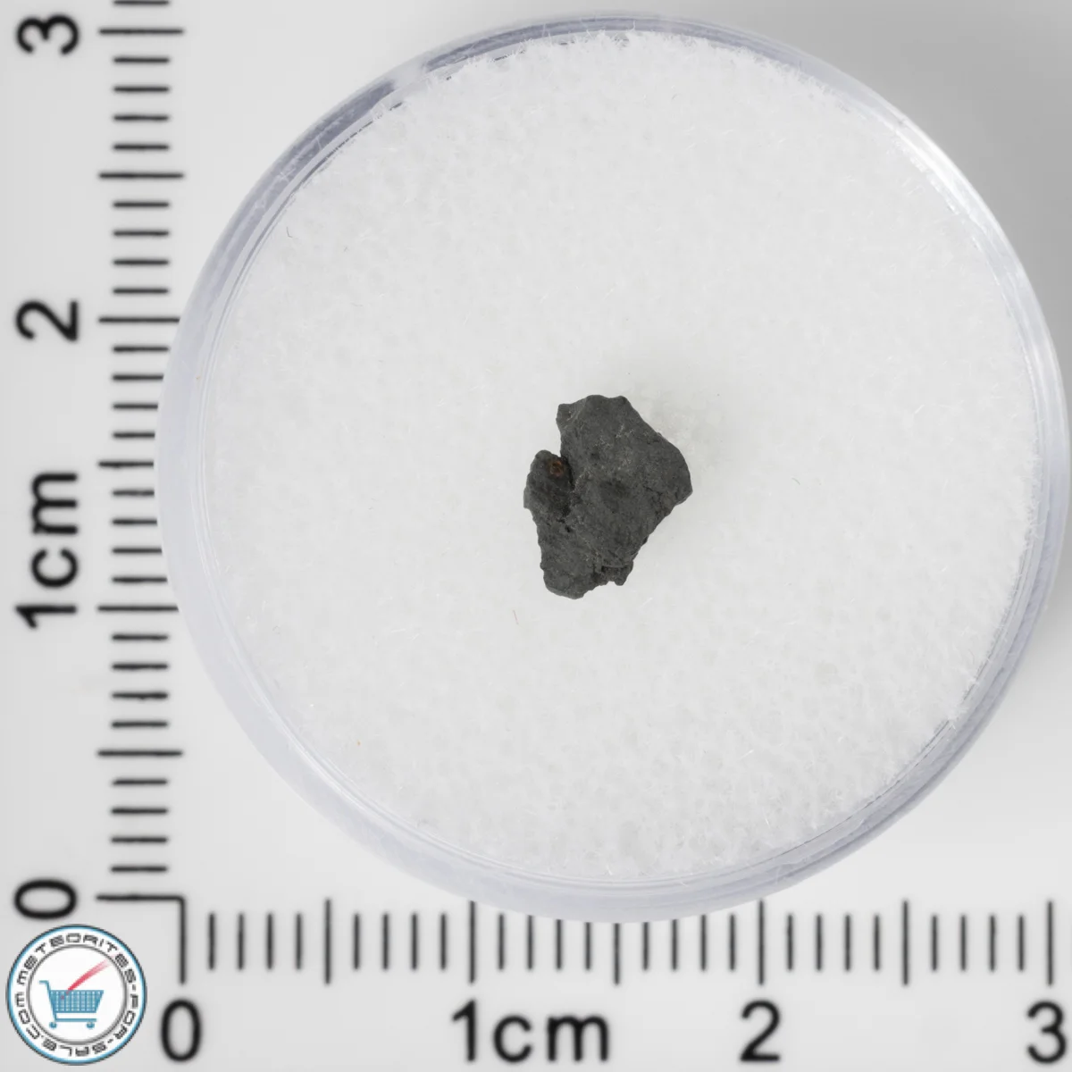 NWA 8534 CM1/2 Meteorite 0.08g | Meteorite Exchange, Inc.