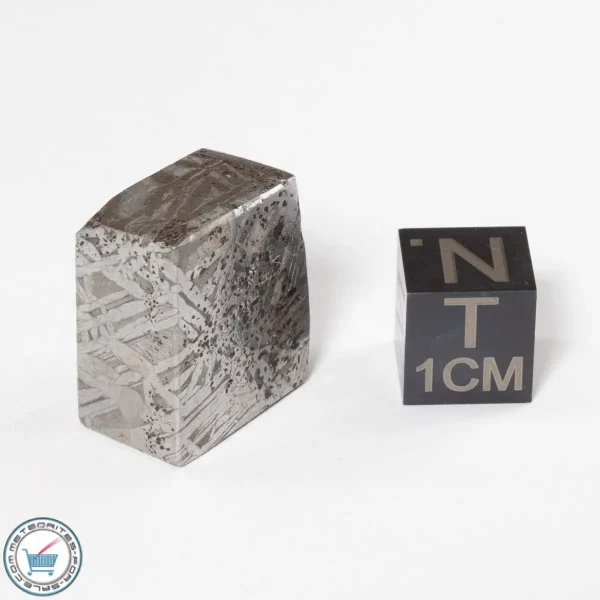 Aletai Meteorite 23.7g Shapes | Meteorite Exchange, Inc.