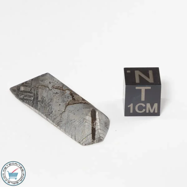 Aletai Meteorite 12.0g Shapes | Meteorite Exchange, Inc.