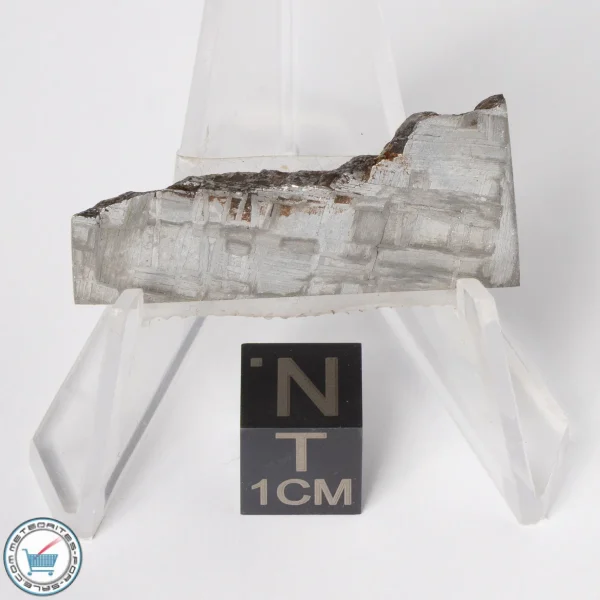 Muonionalusta Meteorite 12.6g Slice | Meteorite Exchange, Inc.