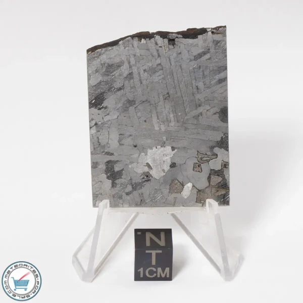 Toluca Meteorite 40.6g | Meteorite Exchange, Inc.