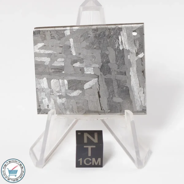 Toluca Meteorite 31.6g | Meteorite Exchange, Inc.