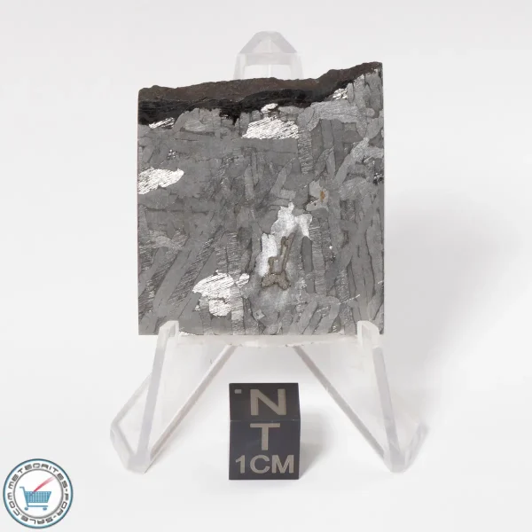 Toluca Meteorite 29.4g | Meteorite Exchange, Inc.